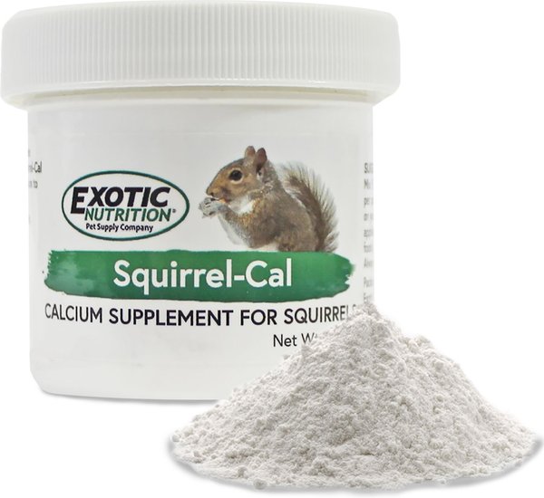 EXOTIC NUTRITION Squirrel-Cal Calcium Squirrel Supplement, 3.5-oz bag ...