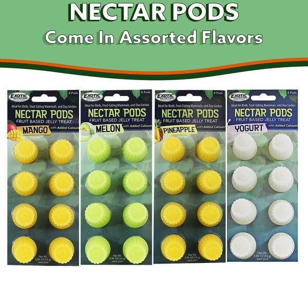 EXOTIC NUTRITION Sugar Glider Food Starter Kit - Chewy.com