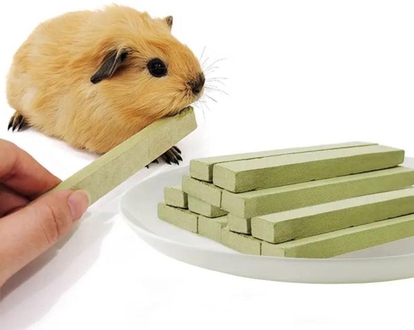 EXOTIC NUTRITION Timothy Bars Small Pet Chew Toy - Chewy.com