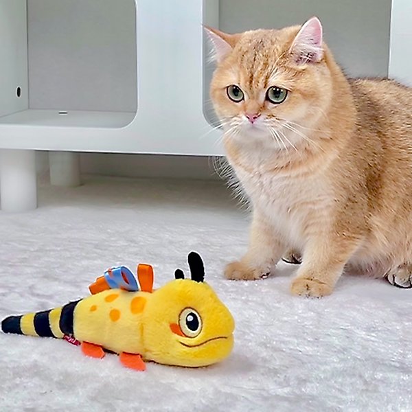 PAWSPIK Chirp & Chase Motion Activated Cat Ball with LED Lights, Blue ...