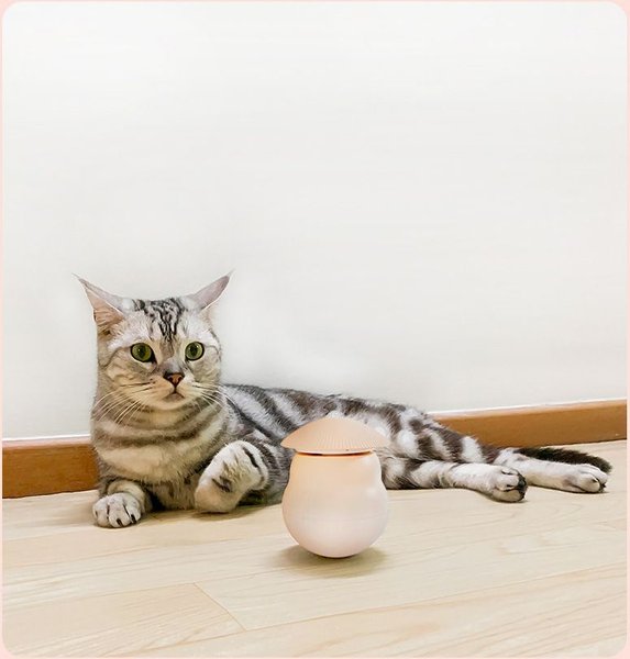 EYS Interactive Tumbler Laser Rotation Motion Cat Toy, Beige - Chewy.com