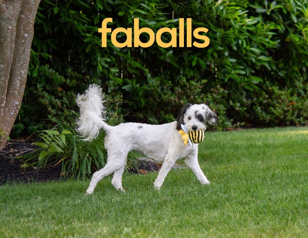 FABDOG Bumble Bee Faball Squeaky Stuffing-Free Dog Toy, Yellow, Large ...