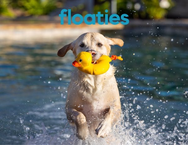 FABDOG Duck Floatie Water Outdoor Plush Dog Toy - Chewy.com