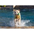 FABDOG Turtle Floatie Water Outdoor Plush Dog Toy - Chewy.com