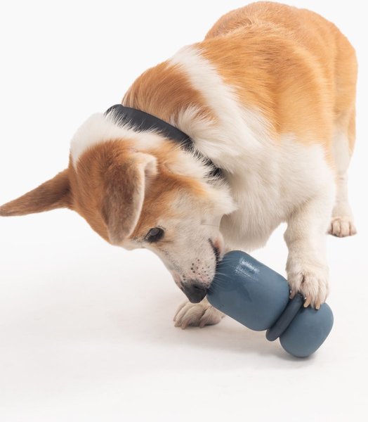 FABLE PETS Armadillo Tough Treat Dispenser Dog & Cat Toy, Navy, Medium ...