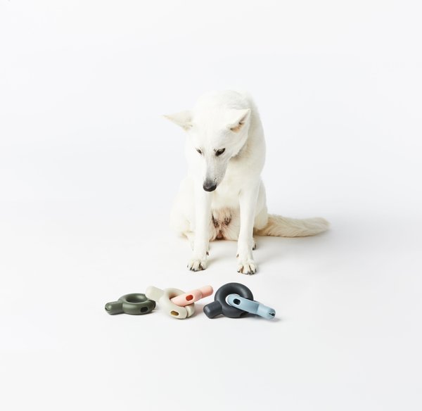 FABLE PETS Falcon Dog Toy, Glow - Chewy.com