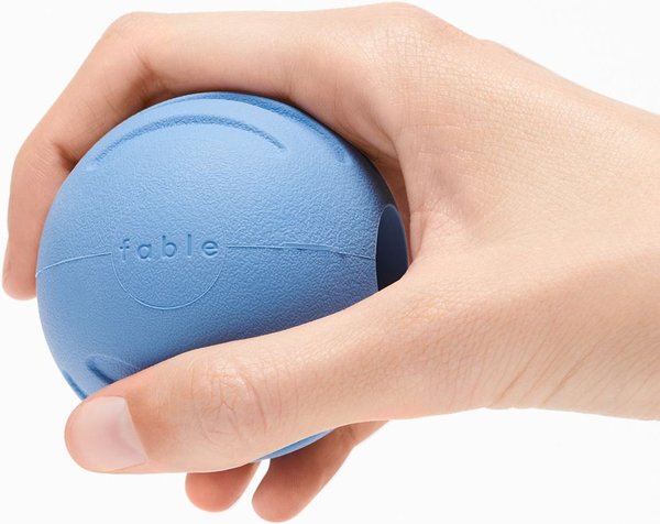 FABLE PETS Signature Ball Dog & Cat Toy, Blue - Chewy.com