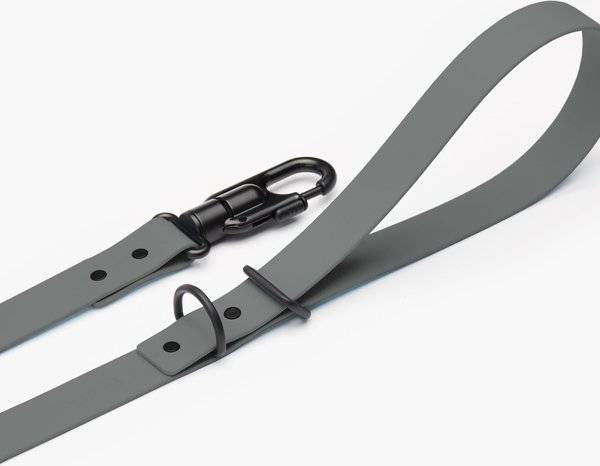 FABLE PETS Signature Dog Leash, Slate, Small/Medium - Chewy.com