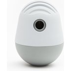 Out of Stock - FABLE PETS The Game Dog Toy, Green - Chewy.com