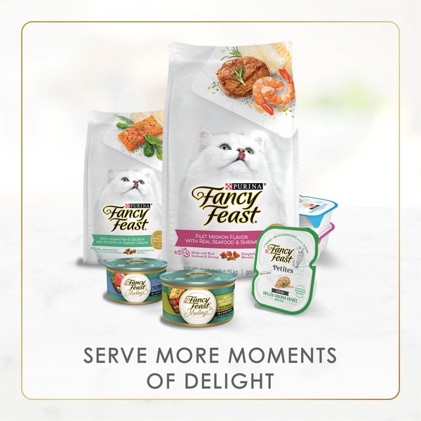 FANCY FEAST Beef Feast Classic Pate Senior 7+ Canned Cat Food, 3-oz can ...