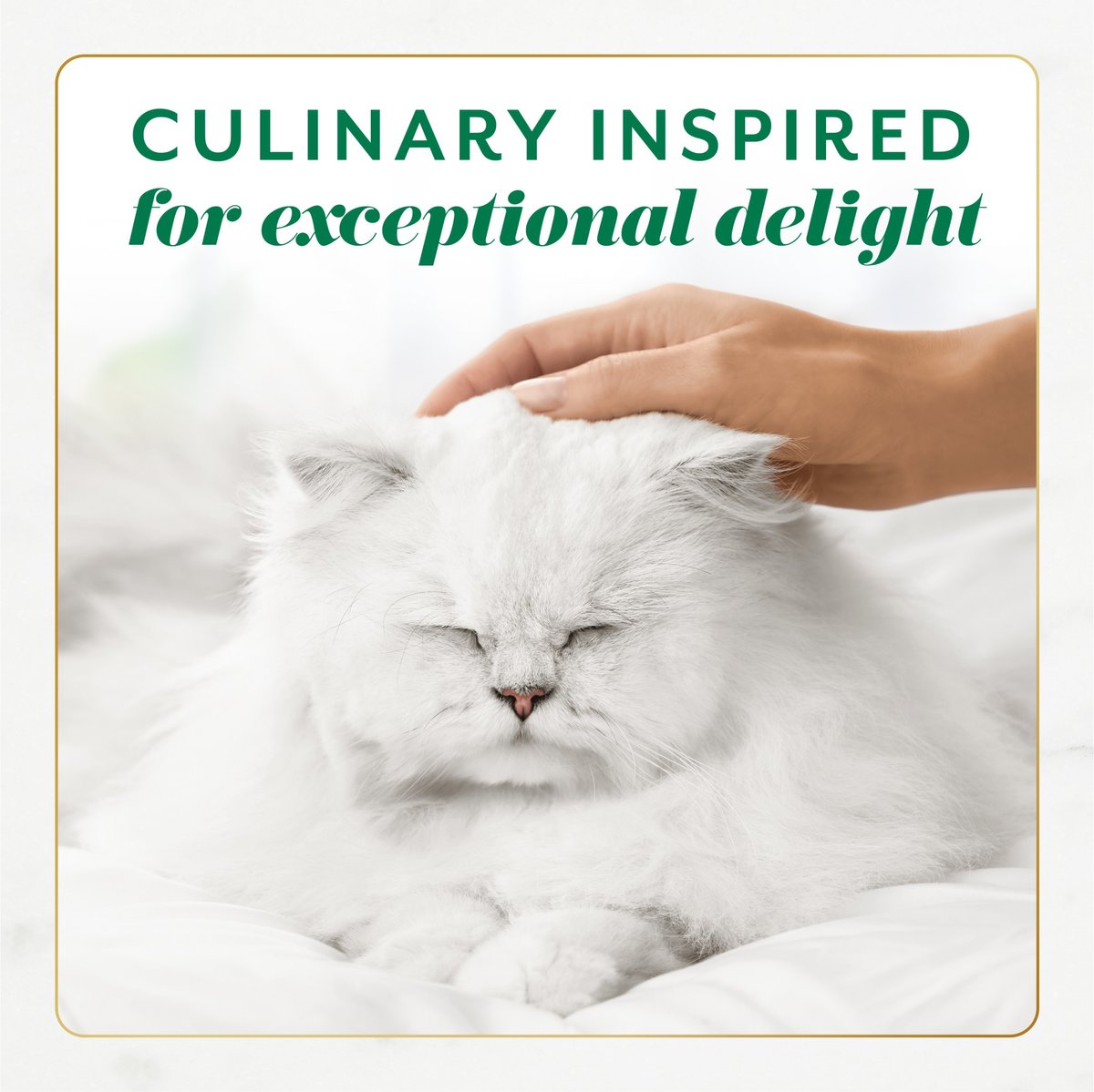 FANCY FEAST Gems Mousse Pate Chicken & Beef Variety Pack Grain-Free Wet ...