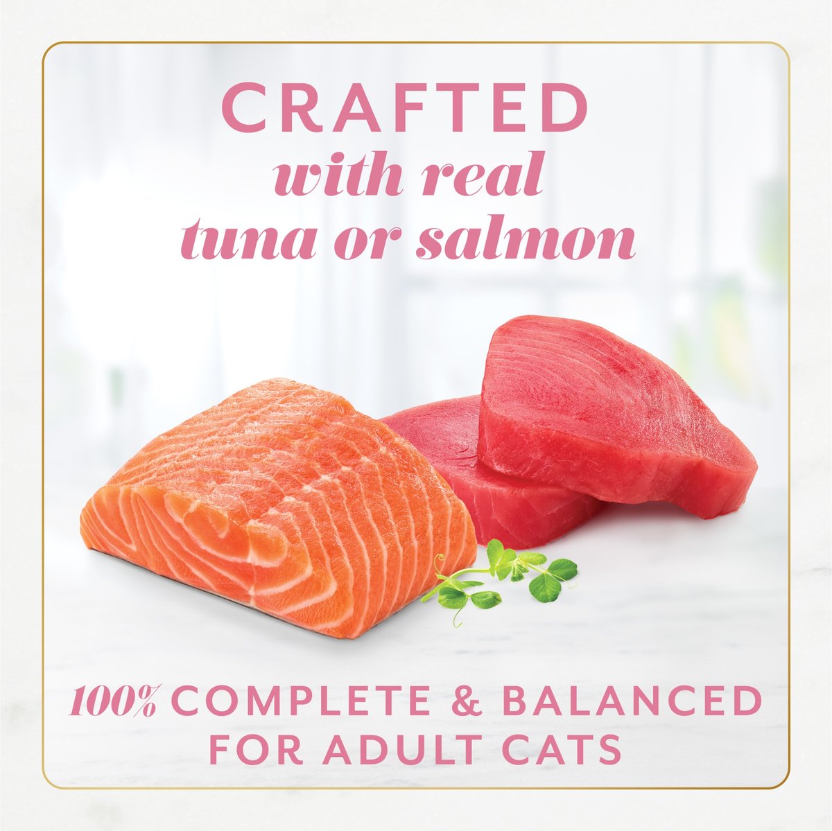 FANCY FEAST Gems Mousse Pate Salmon & Tuna Variety Pack Grain-Free Wet ...