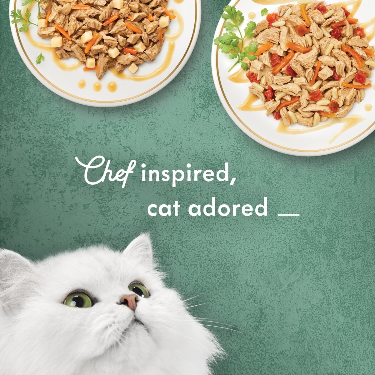 FANCY FEAST Medleys Latin America Variety Pack Chunks in Gravy Wet Cat ...