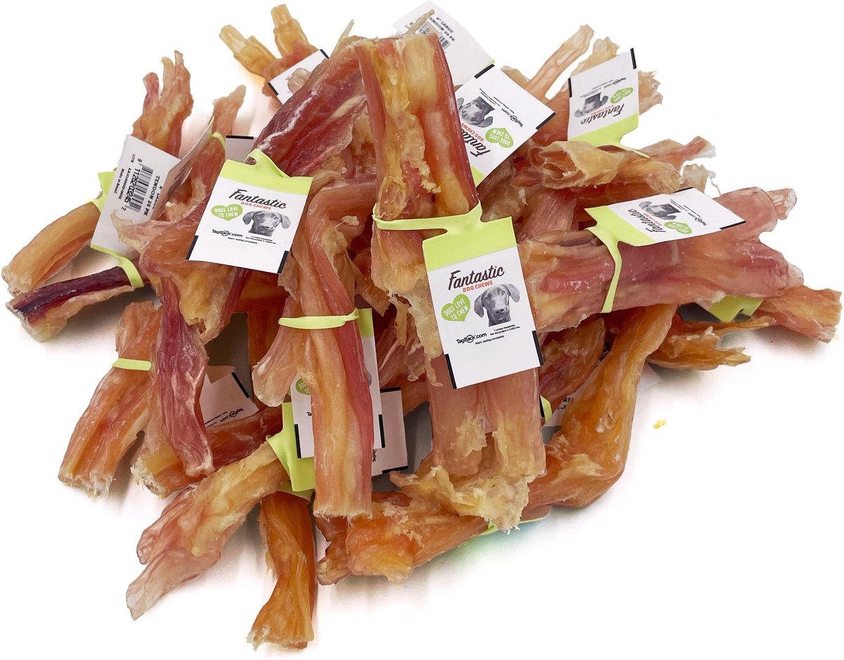 FANTASTIC DOG CHEWS 6-inch Large Beef Tendon Dog Chew - Chewy.com