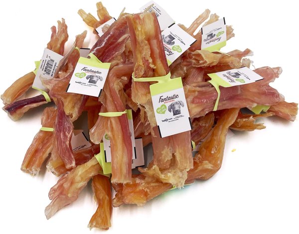 FANTASTIC DOG CHEWS 6-inch Large Beef Tendon Dog Chew - Chewy.com