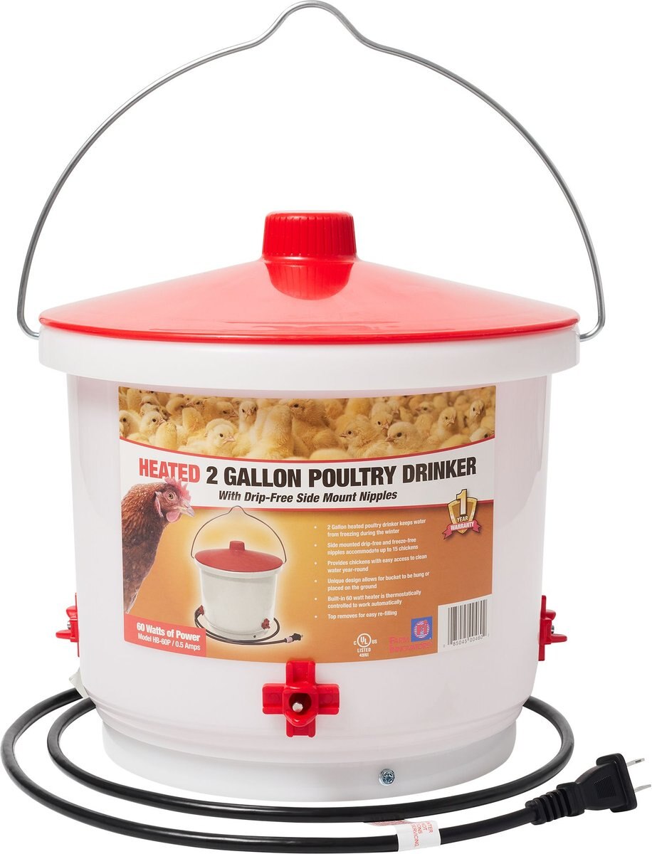 FARM INNOVATORS Heated Poultry Drinker, 2-gal - Chewy.com