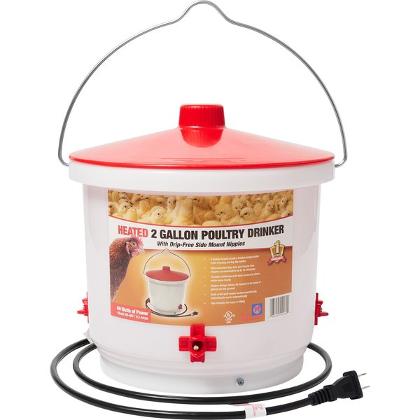 10 Best Chicken Waterers 2026: According to Reviews | Chewy