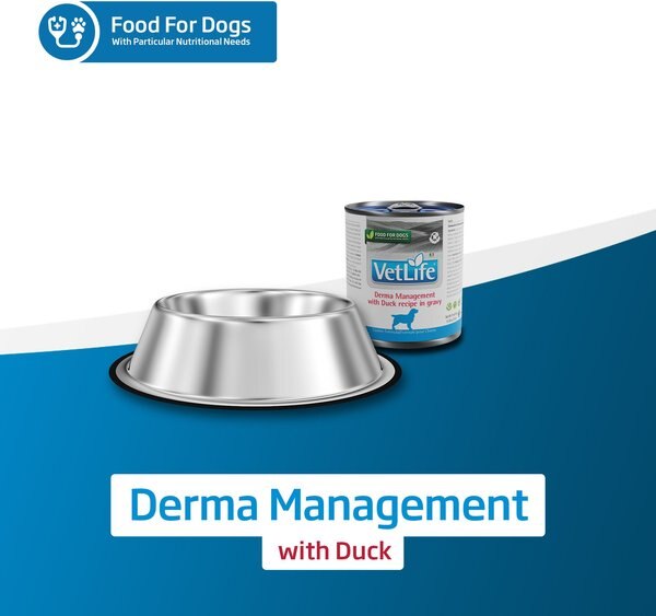 FARMINA VET LIFE Derma Management with Duck Recipe In Gravy Wet Dog ...