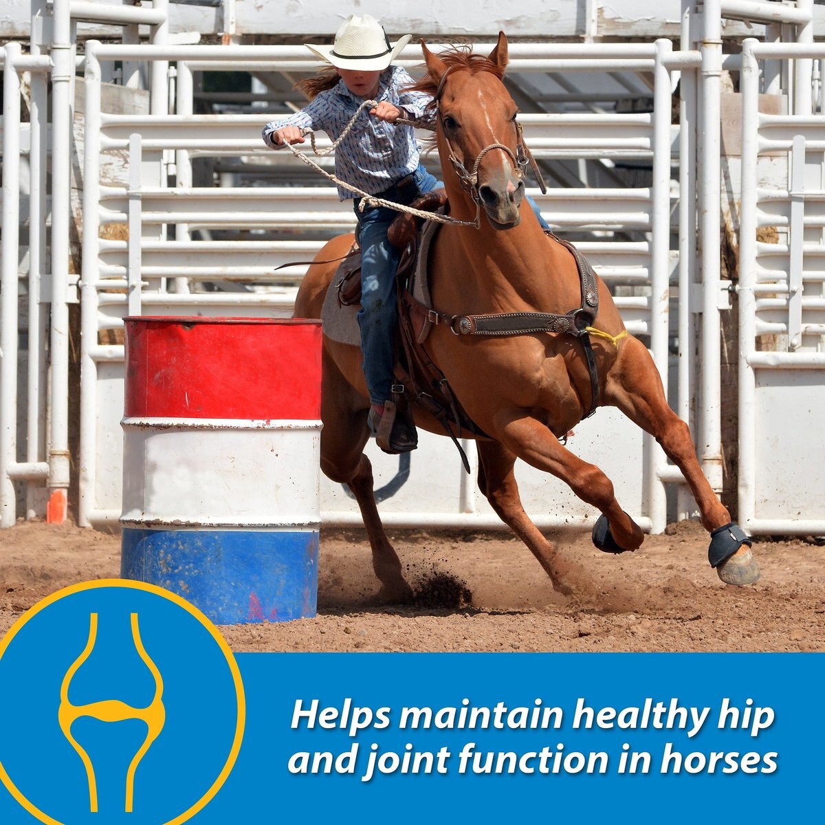 FARNAM FluidFlex Joint Solution Liquid Horse Supplement, 32-fl oz ...