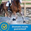 FARNAM FluidFlex Joint Solution Liquid Horse Supplement, 32-fl oz ...