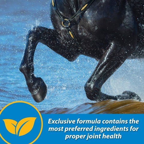 FARNAM FluidFlex Joint Solution Liquid Horse Supplement, 64-fl oz ...