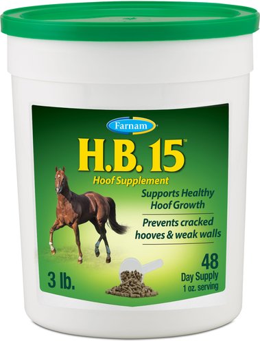 Horse Hoof Health Supplements | Chewy