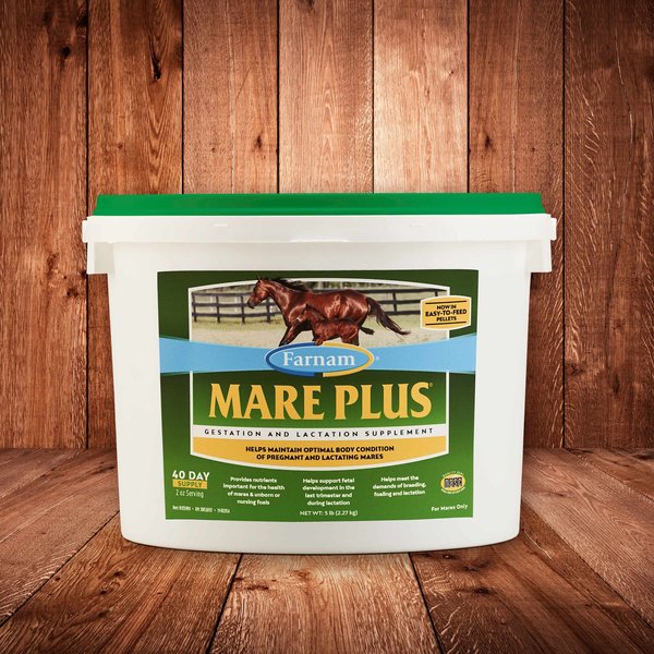 NUTRENA SafeChoice Mare & Foal Pellet Horse Feed, 50-lb bag - Chewy.com