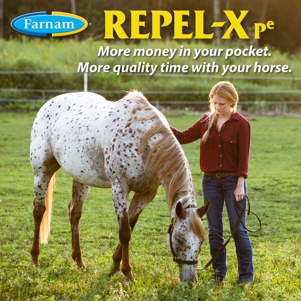 FARNAM Repel-X Dog & Horse Insecticide & Repellent, 32-fl oz bottle ...