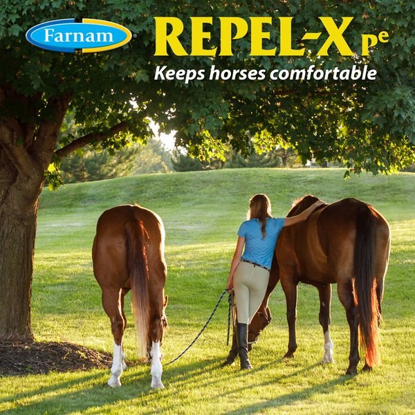 FARNAM Repel-X Dog & Horse Insecticide & Repellent, 32-fl oz bottle ...