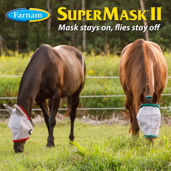 FARNAM SuperMask II Horse Fly Mask Classic Collection, Color Varies ...