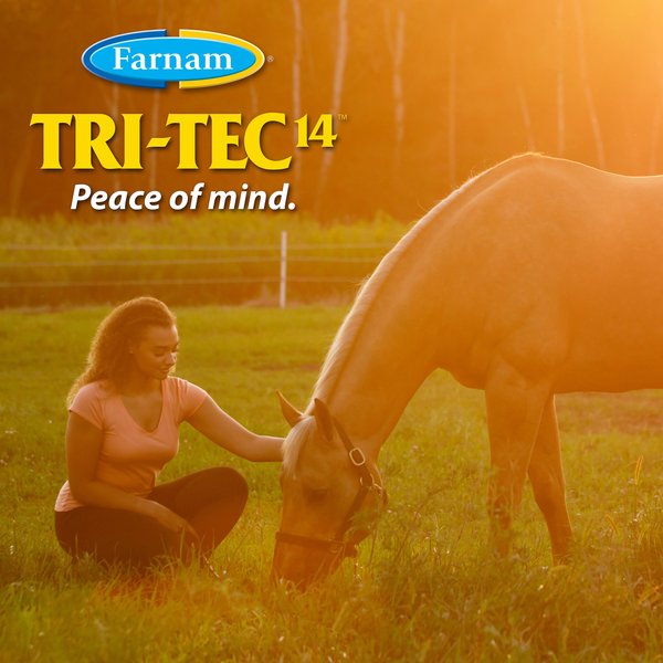 FARNAM Tri-Tec 14 Fly Repellent for Horses, 32-fl oz spray bottle ...