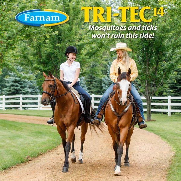 FARNAM Tri-Tec 14 Fly Repellent for Horses, 32-fl oz spray bottle ...