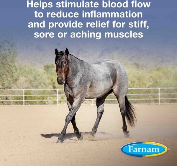 FARNAM Vetrolin Sore Muscle & Joint Pain Relief Horse Liniment ...
