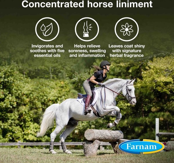 FARNAM Vetrolin Sore Muscle & Joint Pain Relief Horse Liniment ...