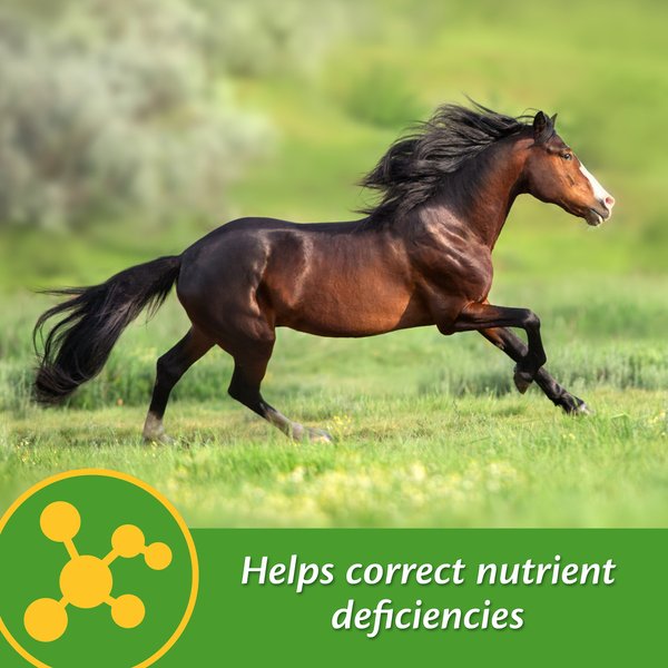 FARNAM Vita-Min E & Selenium Antioxidant Soft Chew Horse Supplement, 3 ...