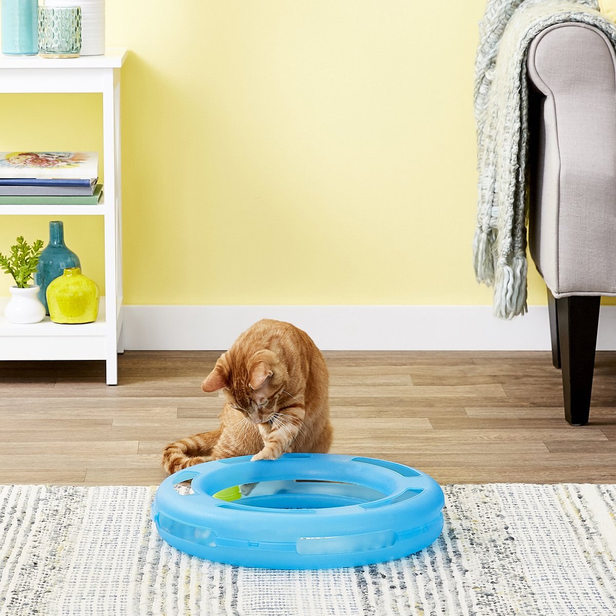 Discontinued - FAT CAT Crazy Circle Cat Toy, Large - Chewy.com