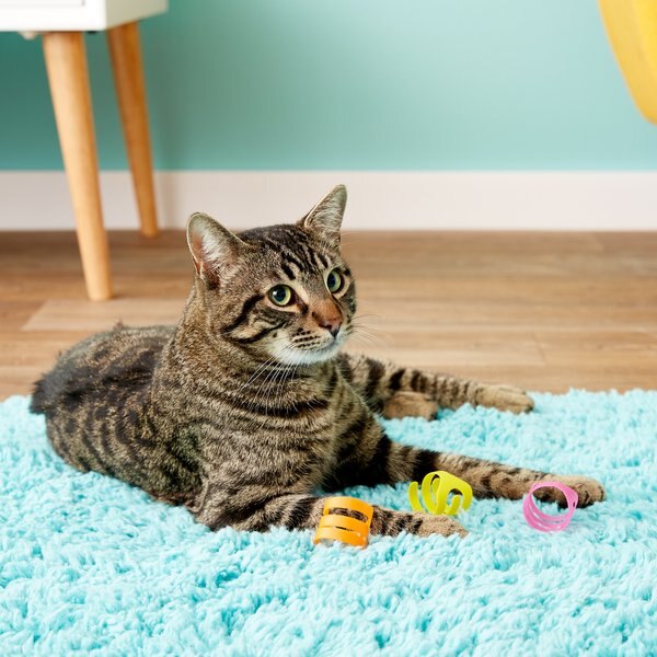Out of Stock - FAT CAT Looney-Loops Cat Toy - Chewy.com