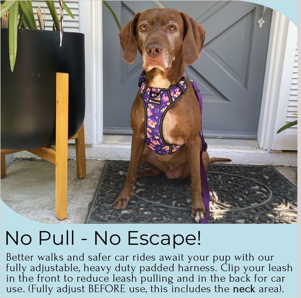 FEARLESS PET Heavy Duty Padded Adjustable No Pull No Escape Dog Harness ...