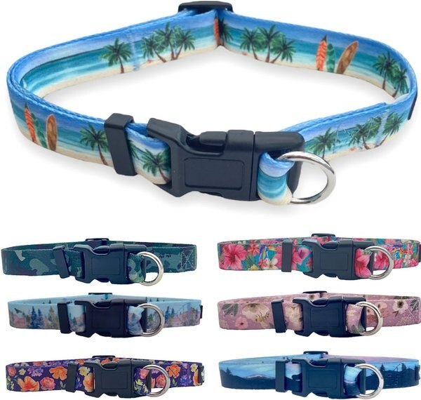 FEARLESS PET Safe Cinch Dog Collar, Beach Life, Small/Medium - Chewy.com