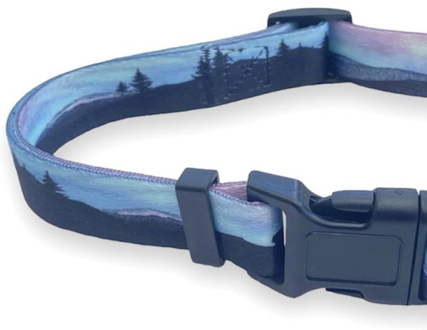 FEARLESS PET Safe Cinch Dog Collar, Northern Lights, Small/Medium ...