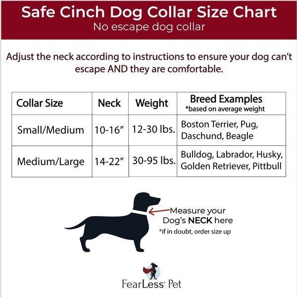 FEARLESS PET Safe Cinch Dog Collar, Northern Lights, Small/Medium ...