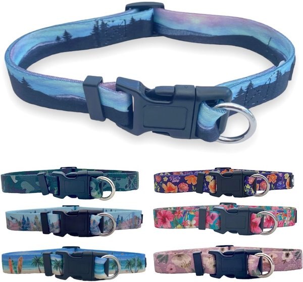 FEARLESS PET Safe Cinch Dog Collar, Northern Lights, Small/Medium ...