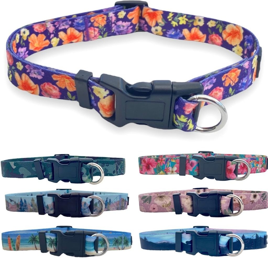 FEARLESS PET Safe Cinch Dog Collar, Poppies, Small/Medium - Chewy.com
