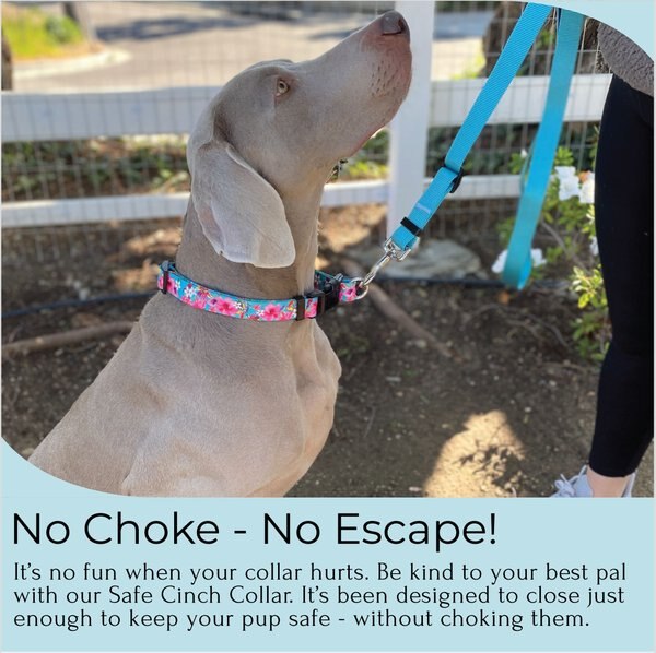 FEARLESS PET Safe Cinch Dog Collar, Teal Hawaiian, Medium/Large - Chewy.com