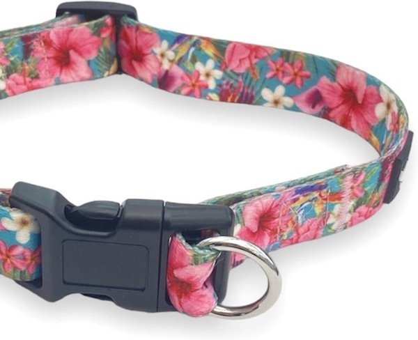 FEARLESS PET Safe Cinch Dog Collar, Teal Hawaiian, Medium/Large - Chewy.com