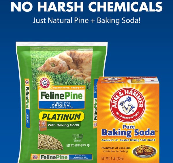 FELINE PINE Platinum Natural Pine Cat Litter, 18-lb bag - Chewy.com