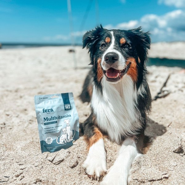 FERA PETS Multivitamin Goat Milk Topper for Dogs & Cats, 60 count ...