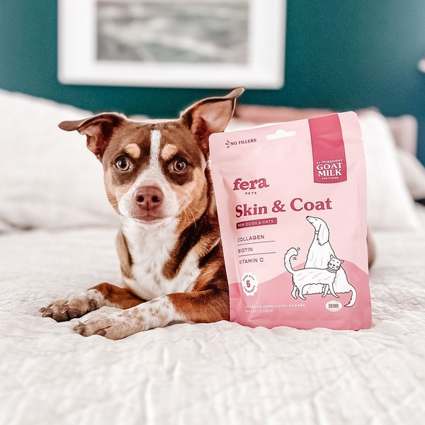 FERA PETS Skin + Coat Goat Milk Topper for Dogs & Cats, 60 count ...