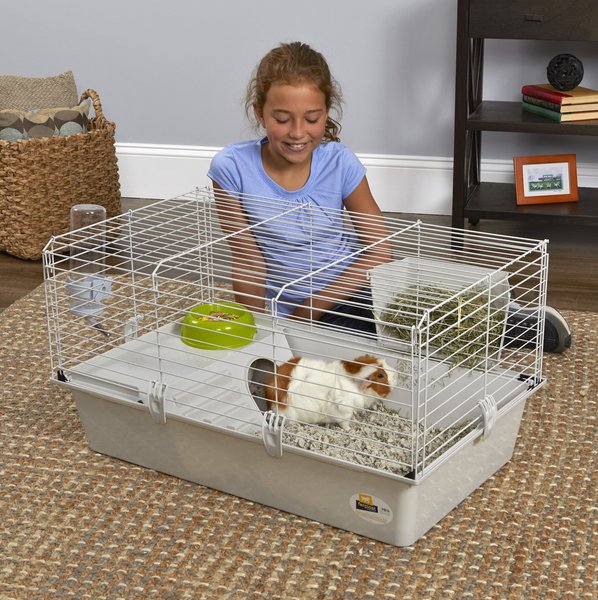 FERPLAST Cavie 80 Guinea Pig Cage, Grey - Chewy.com