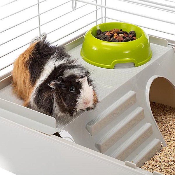 FERPLAST Cavie 80 Guinea Pig Cage, Grey - Chewy.com